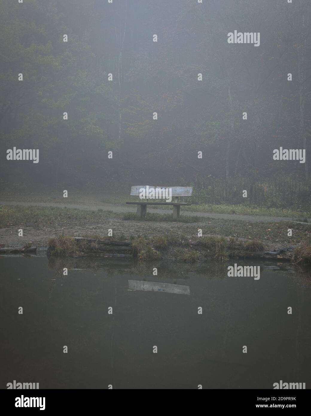 Moody bench in the mist early morning Stock Photo - Alamy