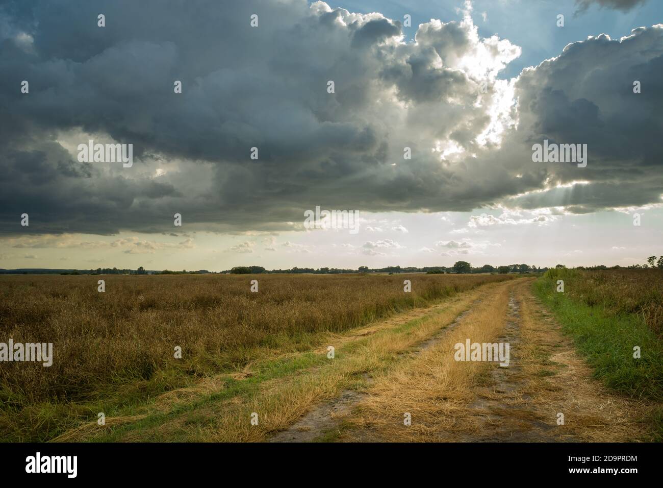 Rain cloud horizon hi-res stock photography and images - Alamy