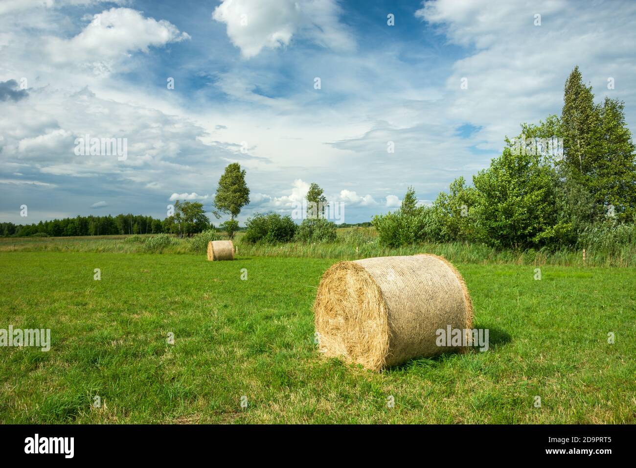 White bales on green hi-res stock photography and images - Alamy