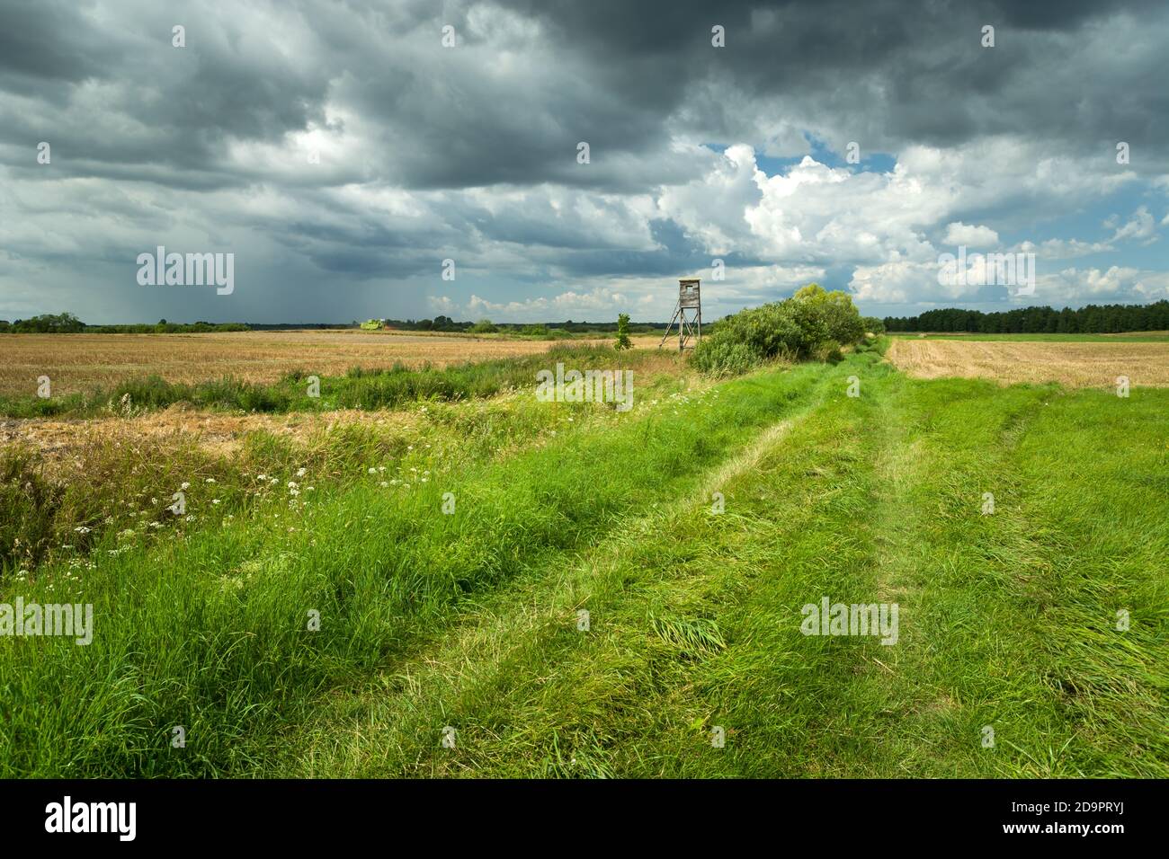 Grassy road to the field and rain cloud Stock Photo - Alamy