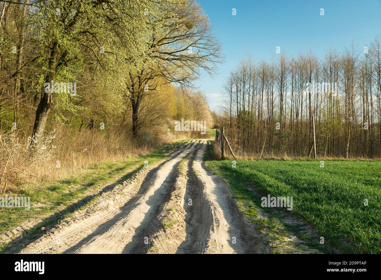 Road ruts hi-res stock photography and images - Alamy