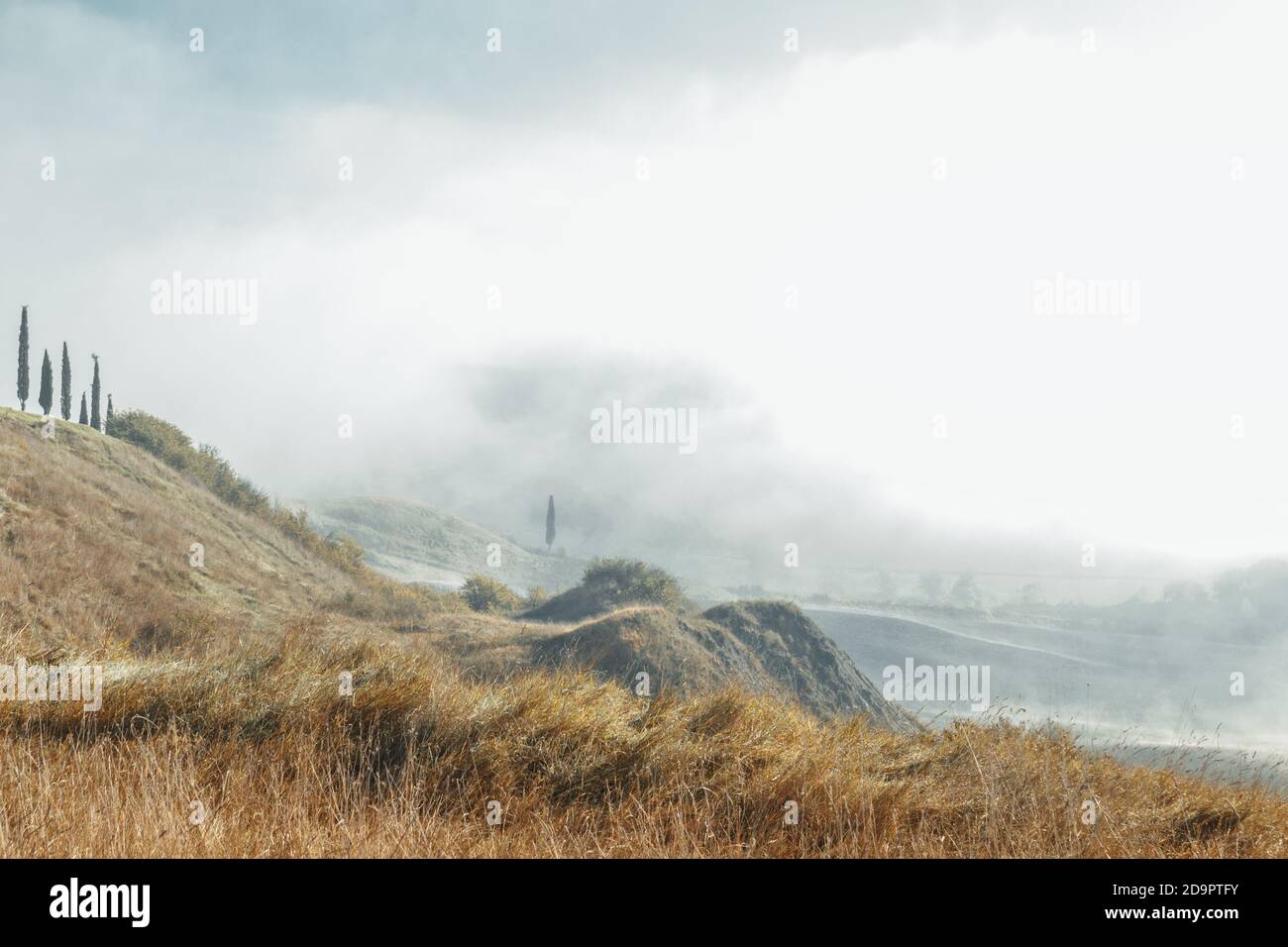 evergreen cypresses over beautiful hills of Tuscany in the autumn ...