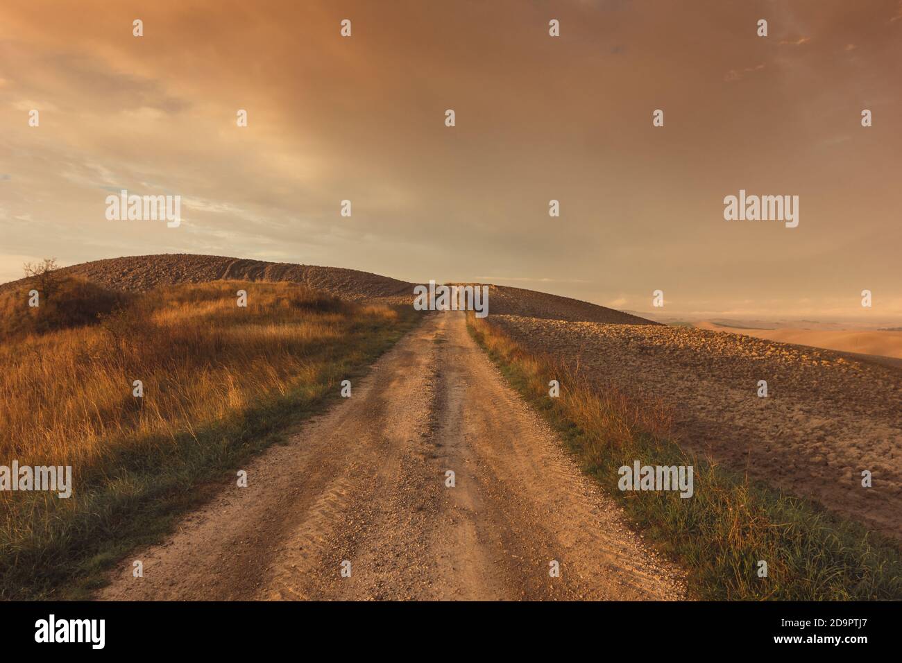 Pathway between fields in rural area of Tuscany Stock Photo - Alamy