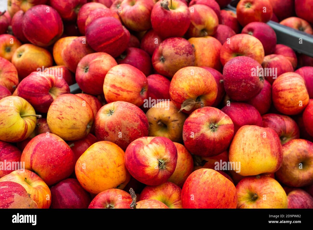 Colorful apples in an open market Stock Photo - Alamy