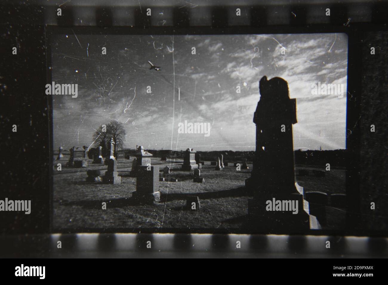 Fine 1970s vintage black and white photography of a cemetery full of ...