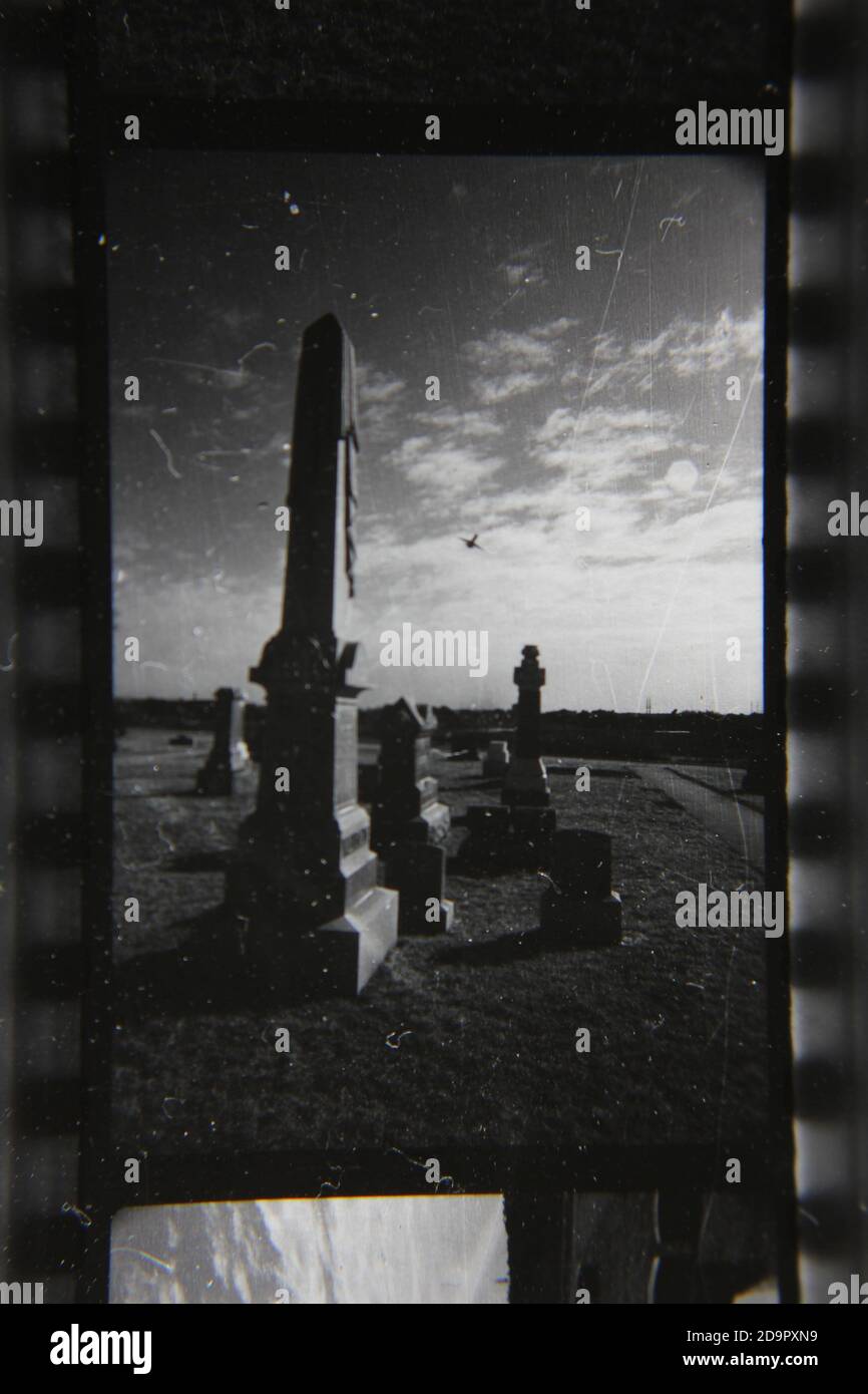 Fine 1970s vintage black and white photography of a cemetery full of ...