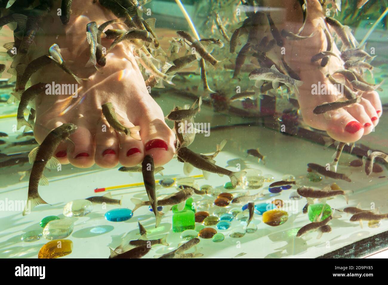 foot care with natural peeling and massage. Fish choose only damaged ...