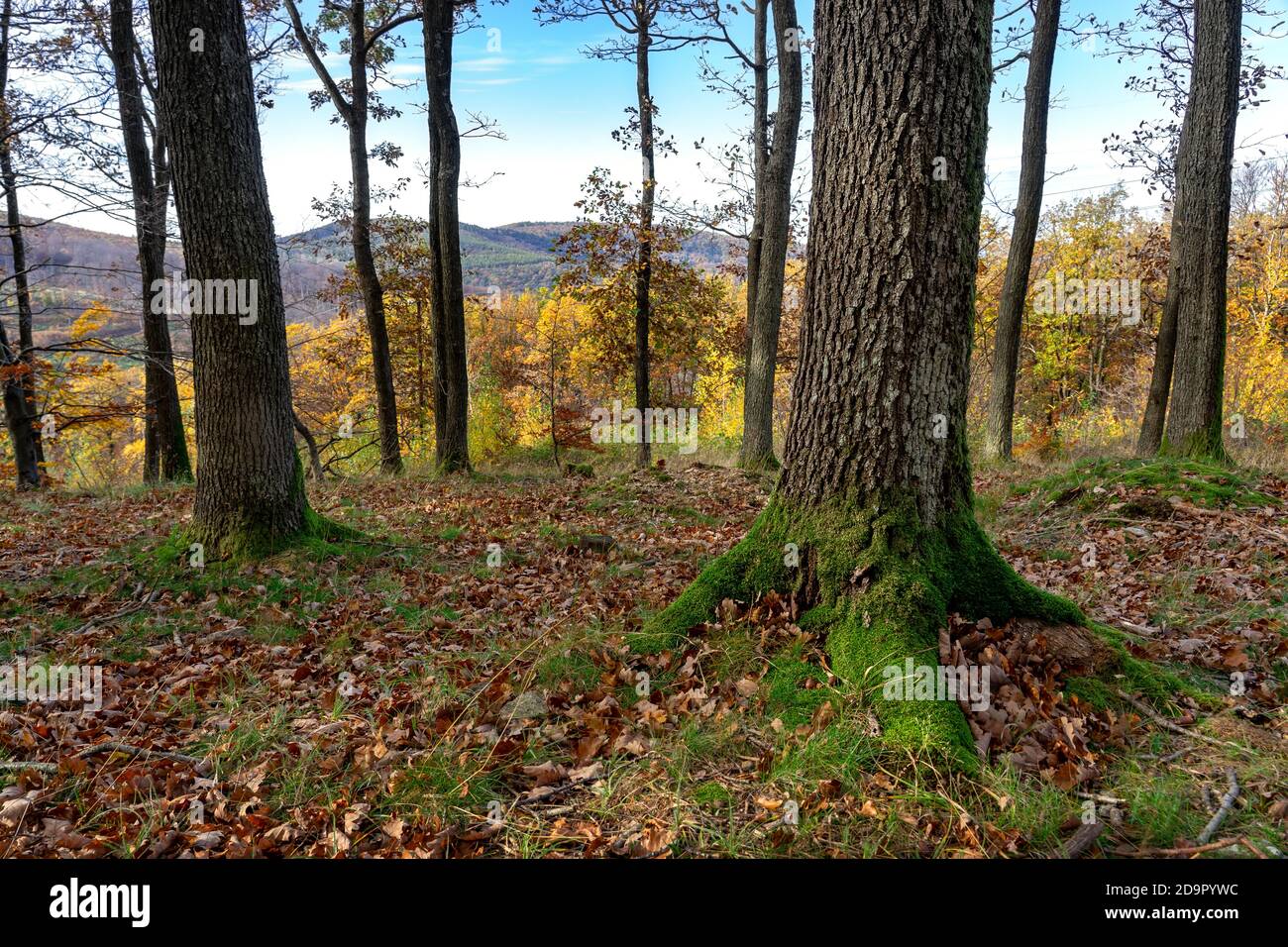 Koszeg mountains hi-res stock photography and images - Alamy