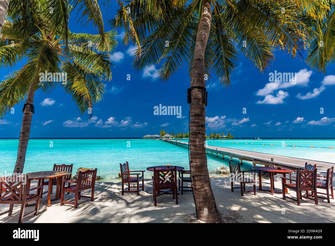 Tropical beach in Maldives with palm trees and vibrant inviting lagoon ...