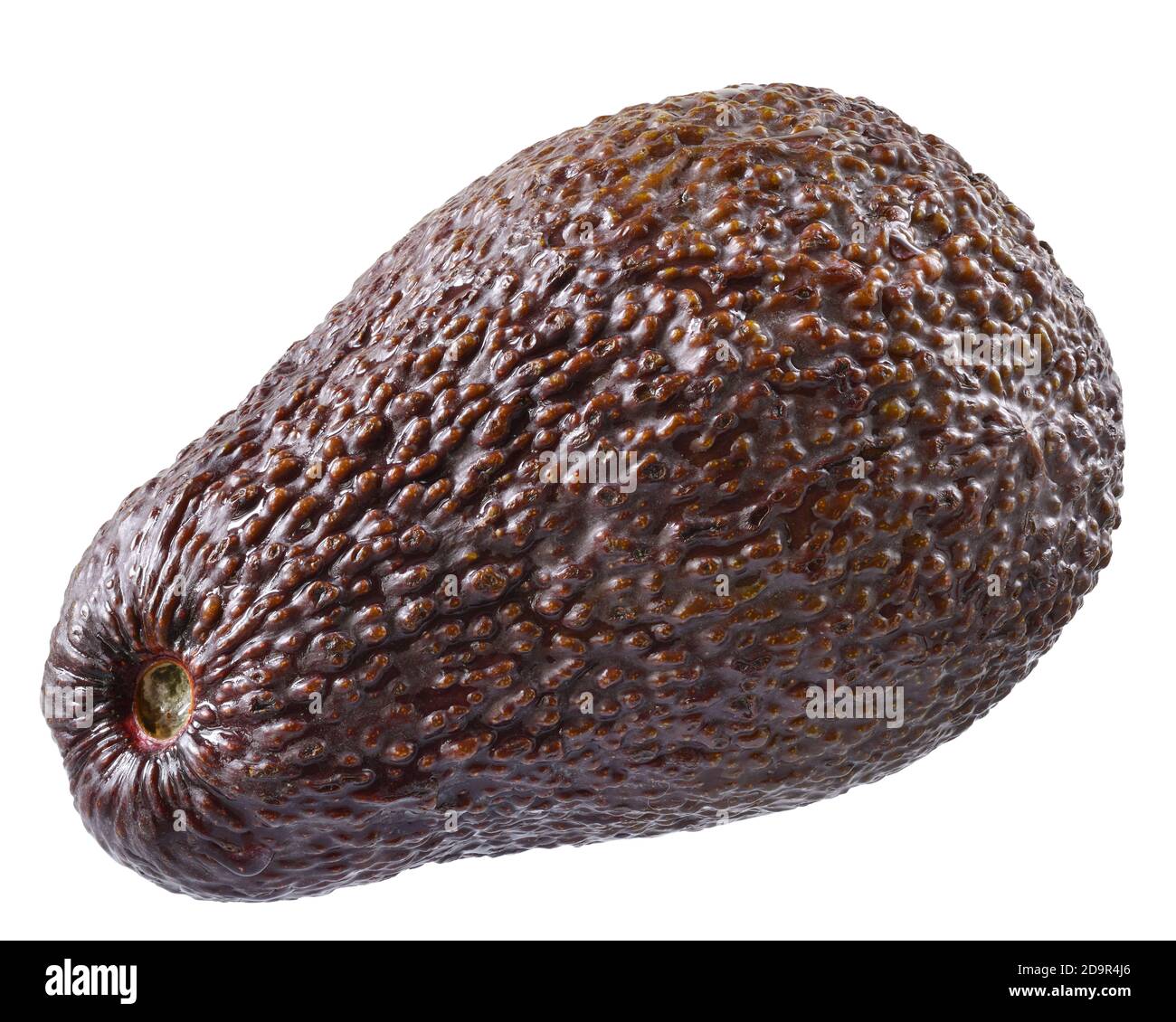 Full avocado close up isolated on a white background Stock Photo - Alamy