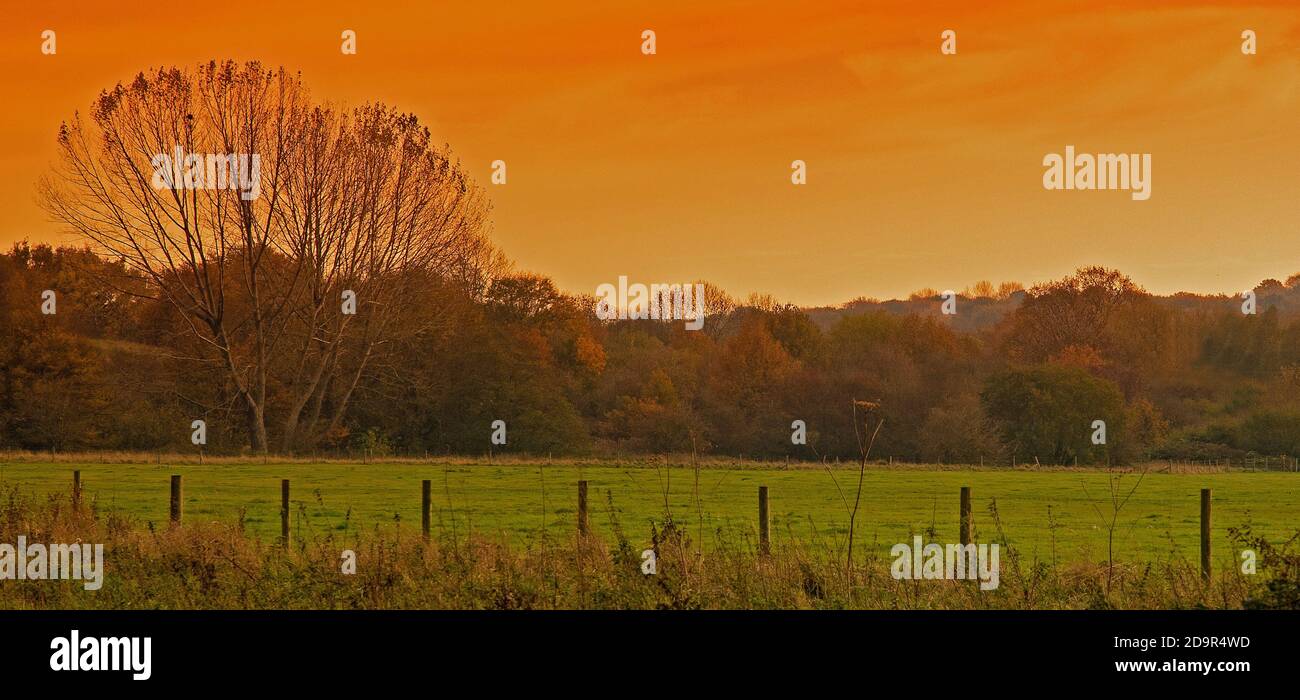 English autumn woodland hi-res stock photography and images - Alamy