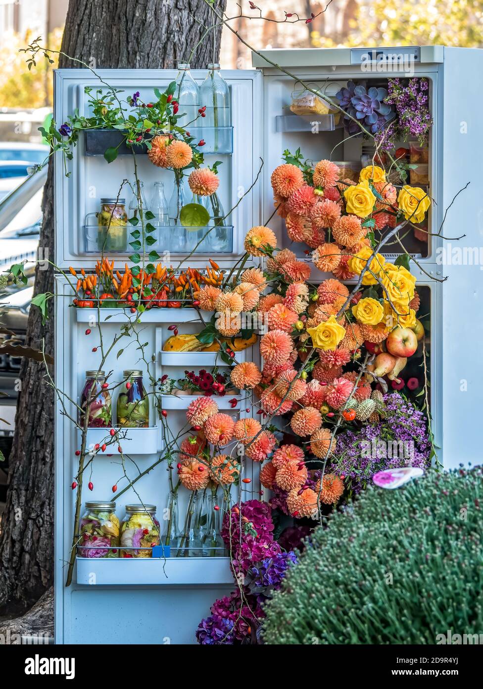 A refrigerator or a fridge fiiled with many colored flowers, fruits and ...