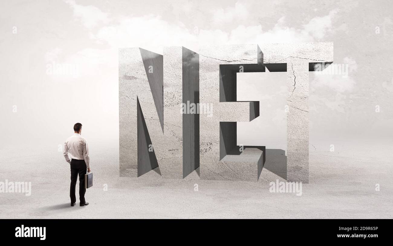 Rear view of a businessman standing in front of NET abbreviation ...