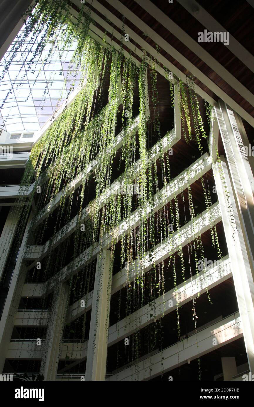 Cuba, Matanzas Province, Varadero, Hotel Blau Varadero Internal shots ...