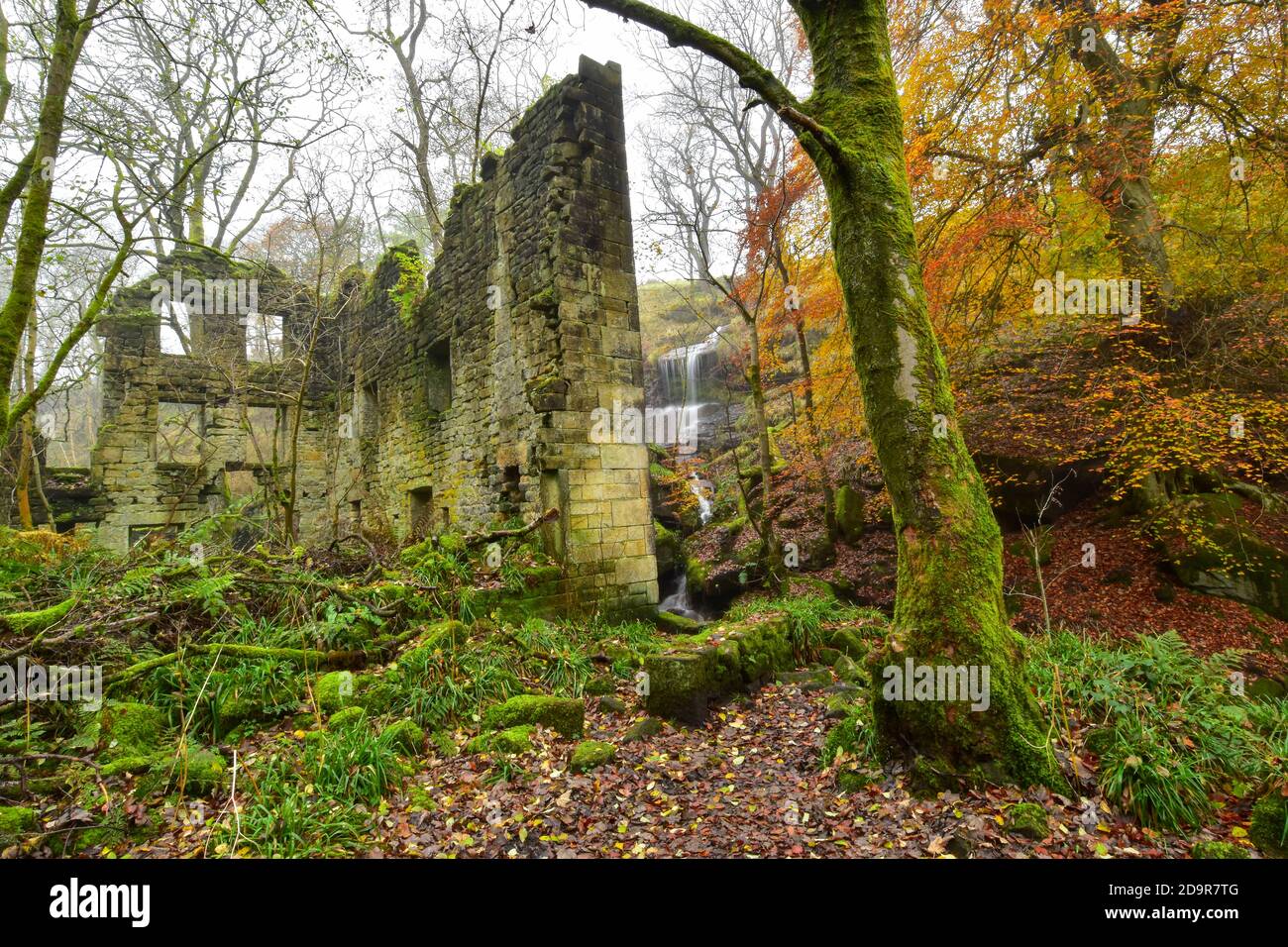 Staups mill hi-res stock photography and images - Alamy