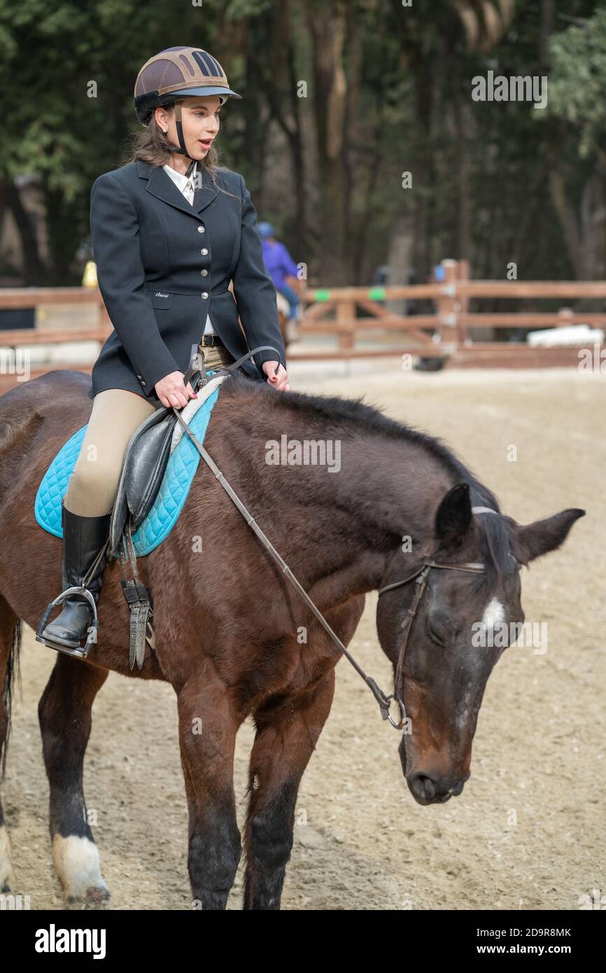 woman riding horse, english saddle, in arena surrounded by oak trees ...