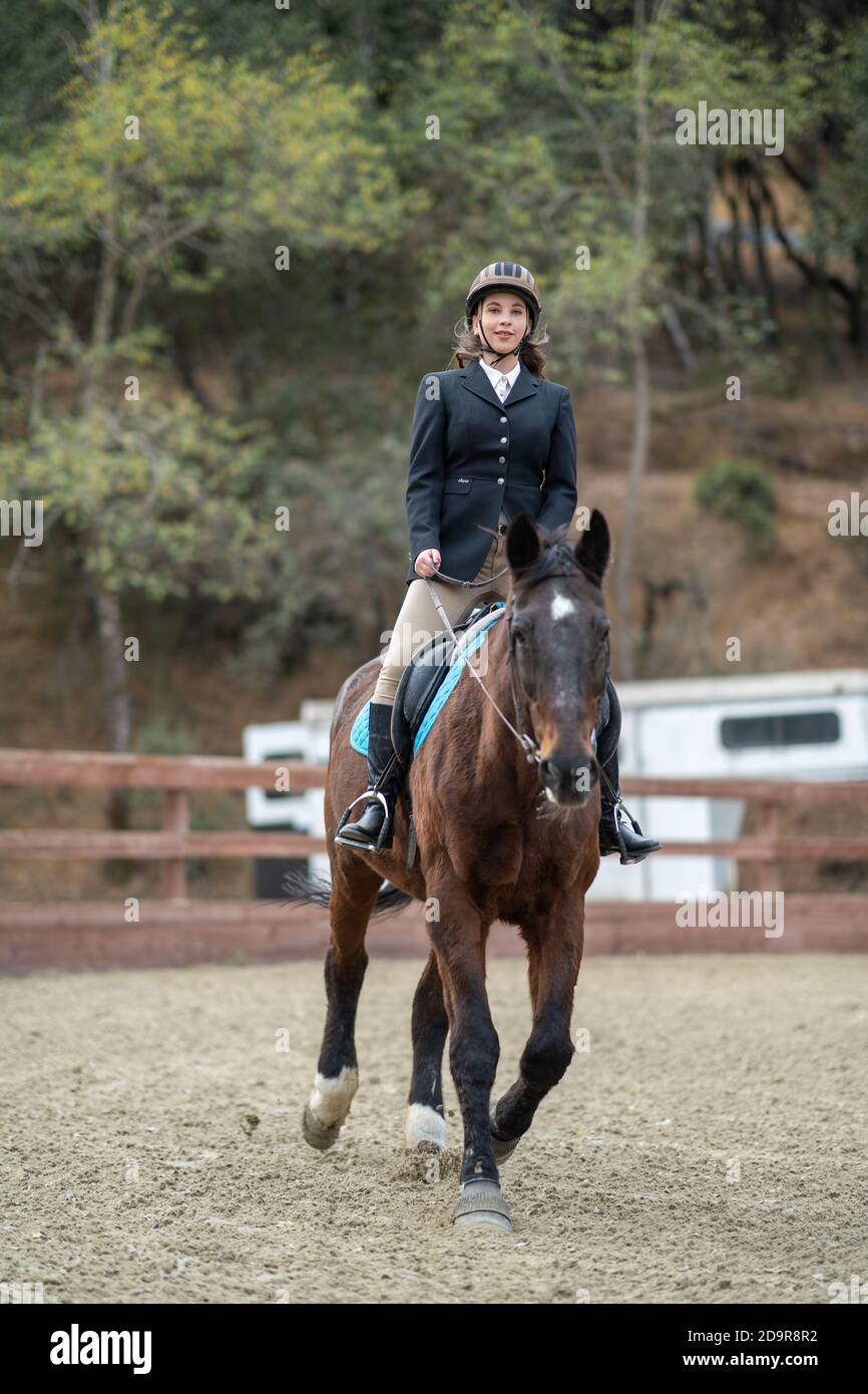 woman riding horse, english saddle, in arena surrounded by oak trees ...