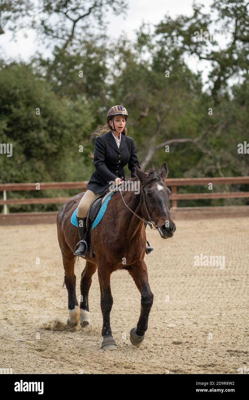 woman riding horse, english saddle, in arena surrounded by oak trees ...