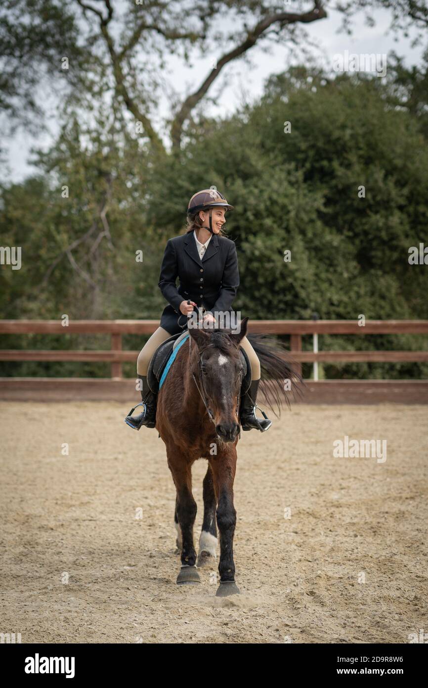 woman riding horse, english saddle, in arena surrounded by oak trees ...