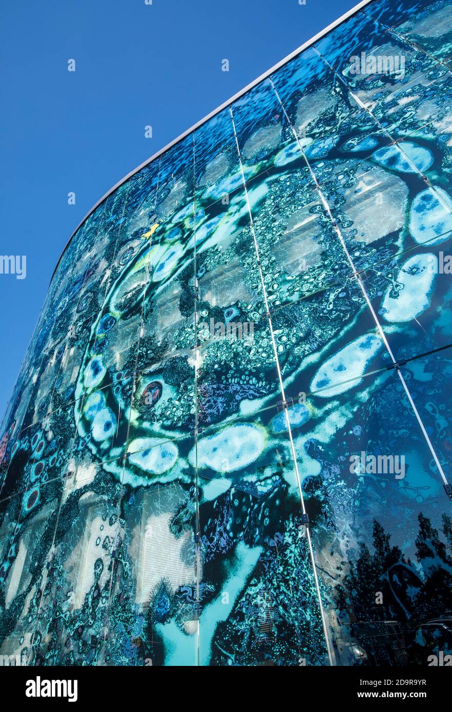 Hospital building wall covered with detachable painted green glass ...
