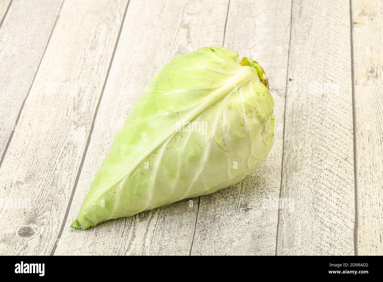 Cone cabbage for dietary and vegan cuisine Stock Photo - Alamy
