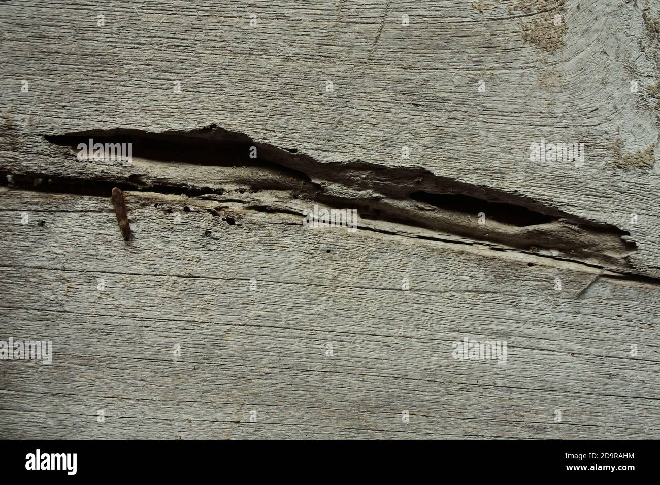 Closeup shot of a crack in a wooden plan Stock Photo - Alamy