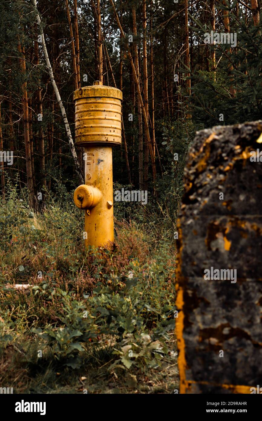 Vertical shot of a yellow fire hydrant in a field at daytime Stock ...
