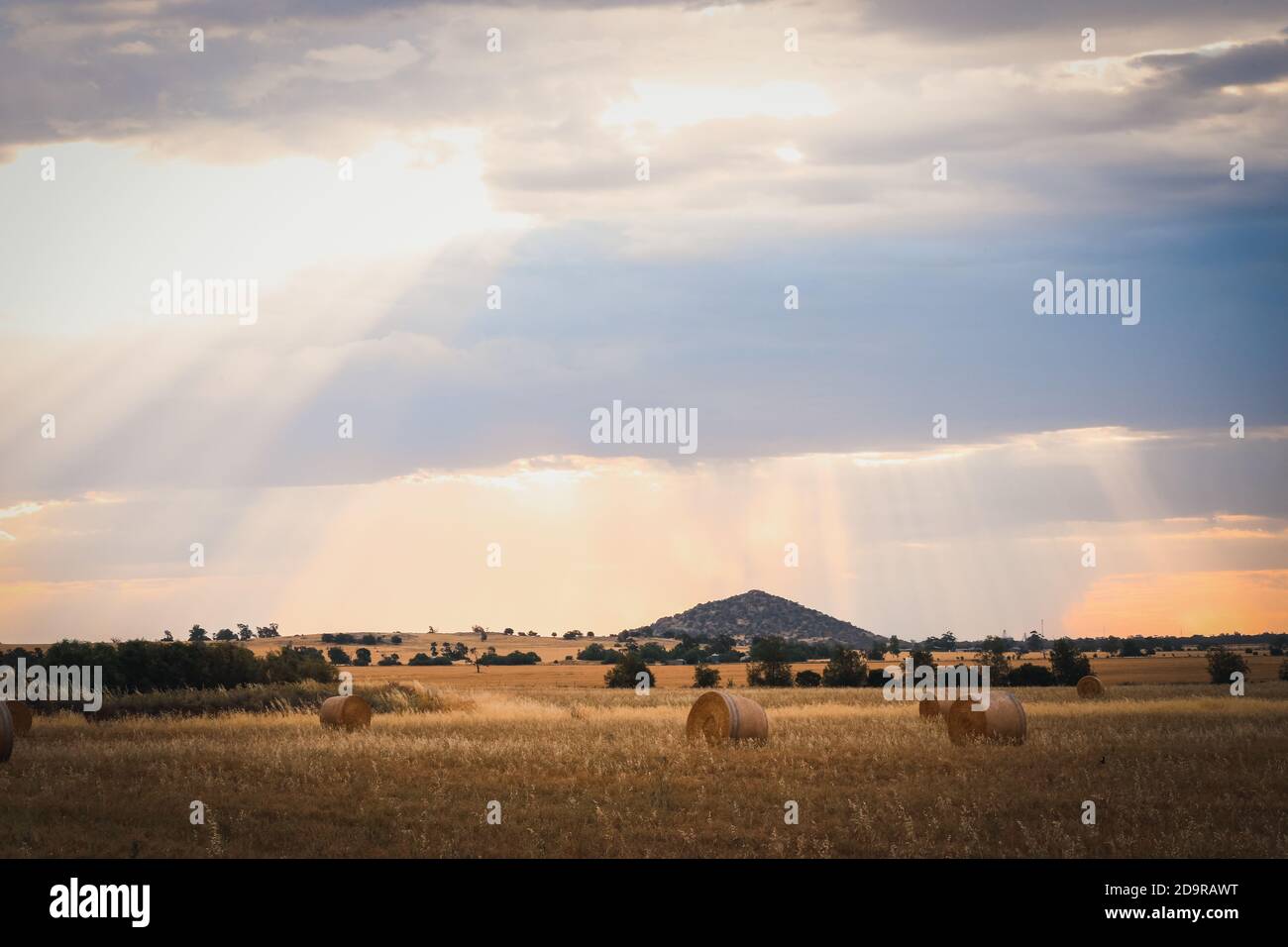 View of Pyramid Hill, Victoria Australia across sweeping paddock full ...