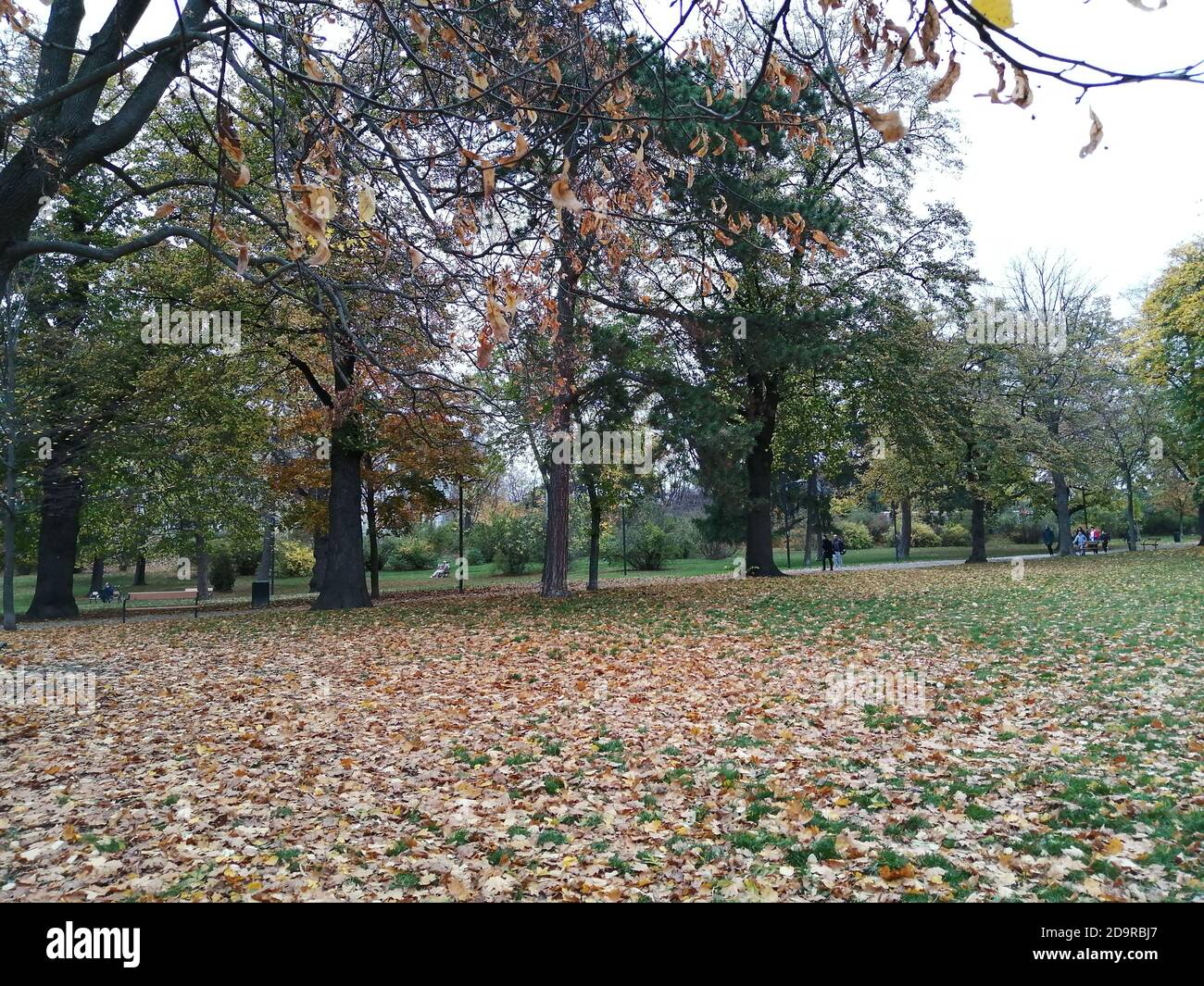 Autumn in the Forty Hall, Enfield, London Stock Photo - Alamy