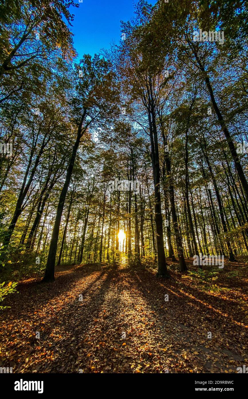Layout kiel hi-res stock photography and images - Alamy