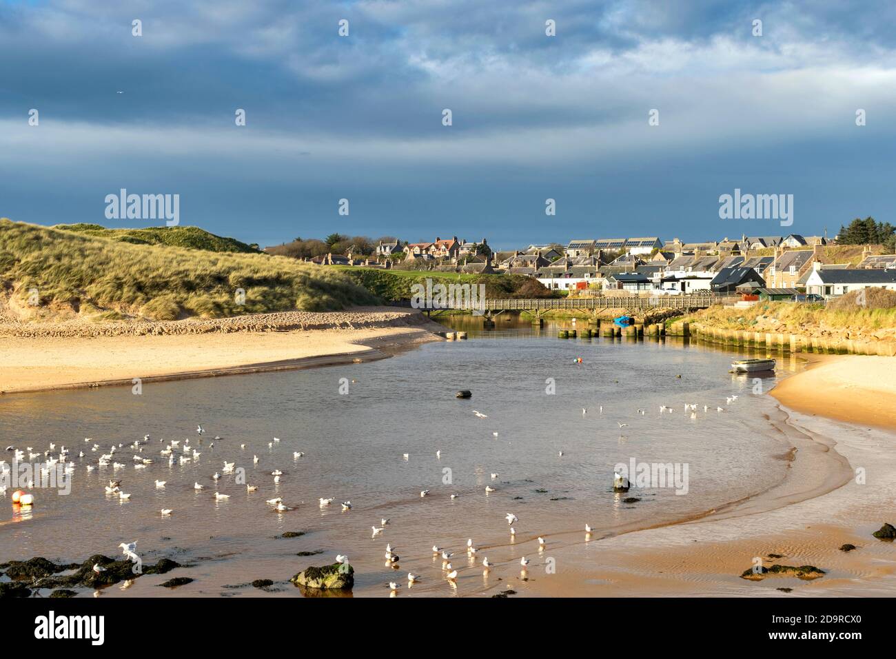 Cruden bay scotland hi-res stock photography and images - Alamy