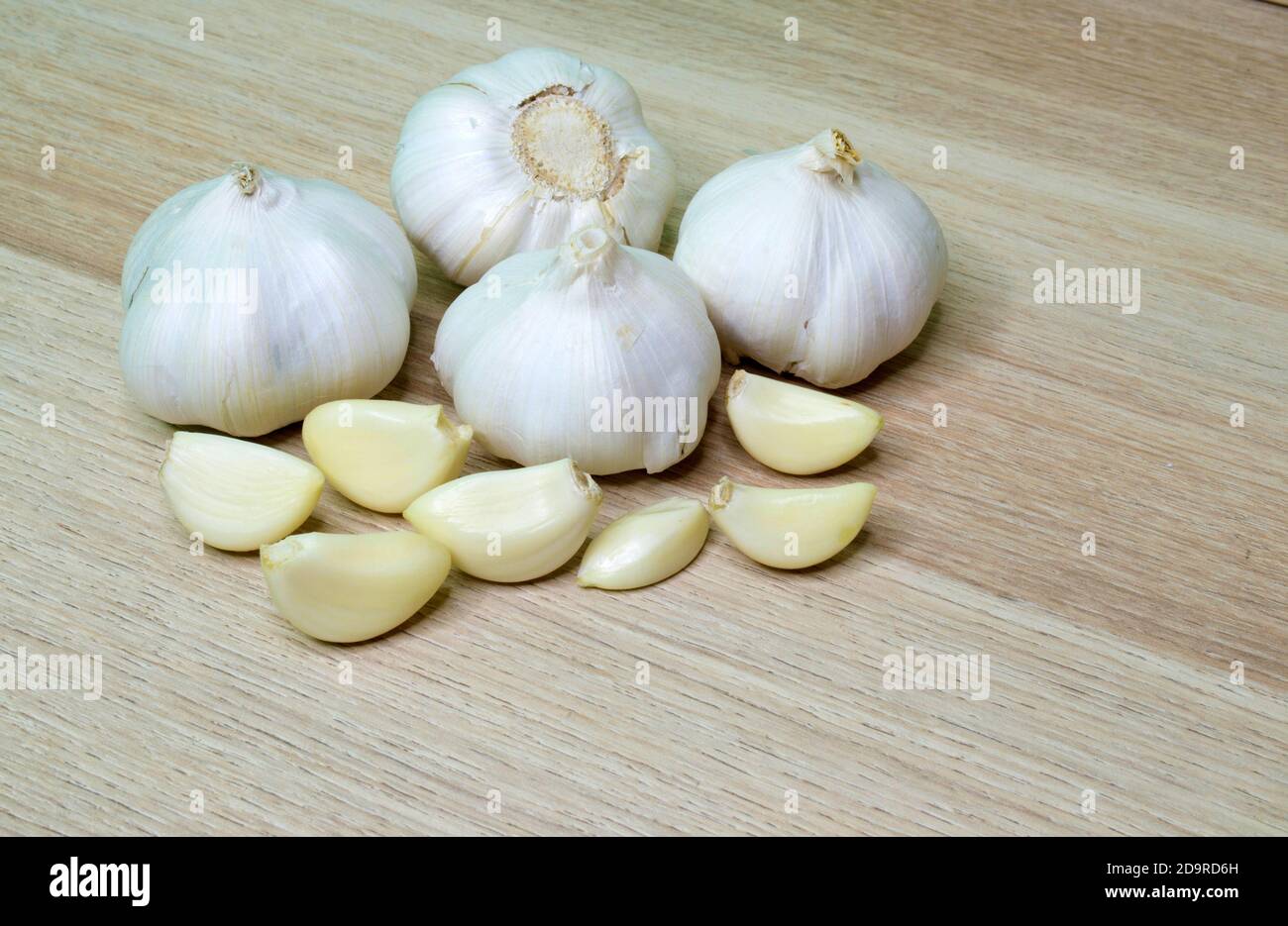 Onion genus hi-res stock photography and images - Alamy