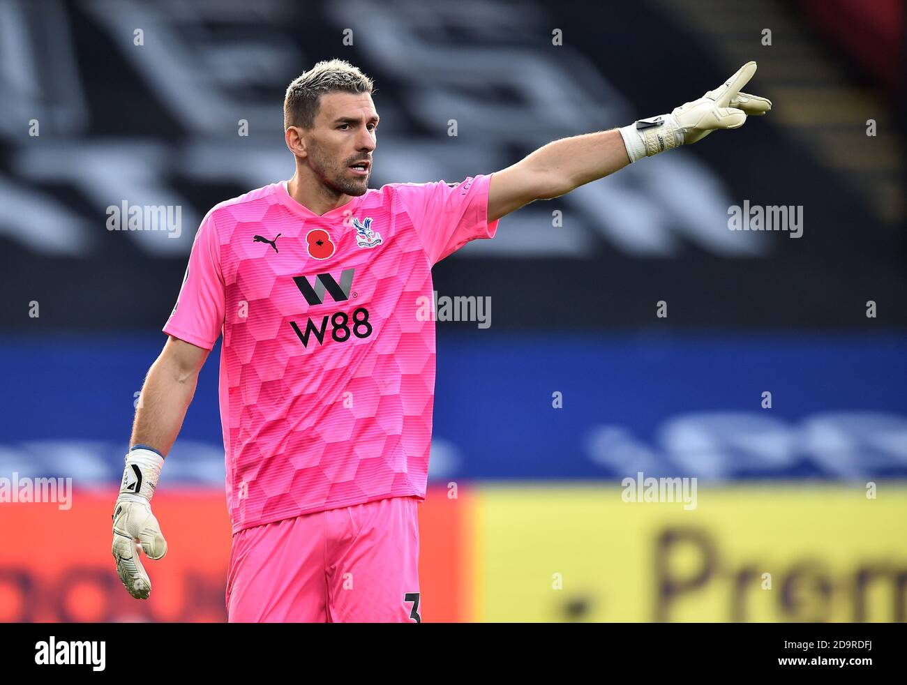 Crystal Palace goalkeeper Vicente Guaita during the Premier League ...