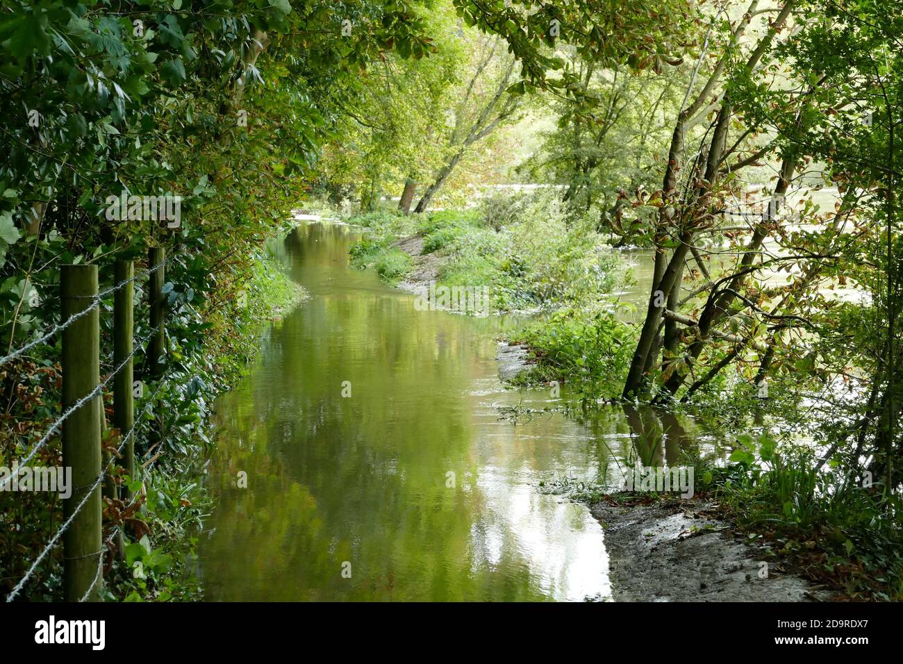 A bright afternoon along the river Goring on Thames Stock Photo - Alamy