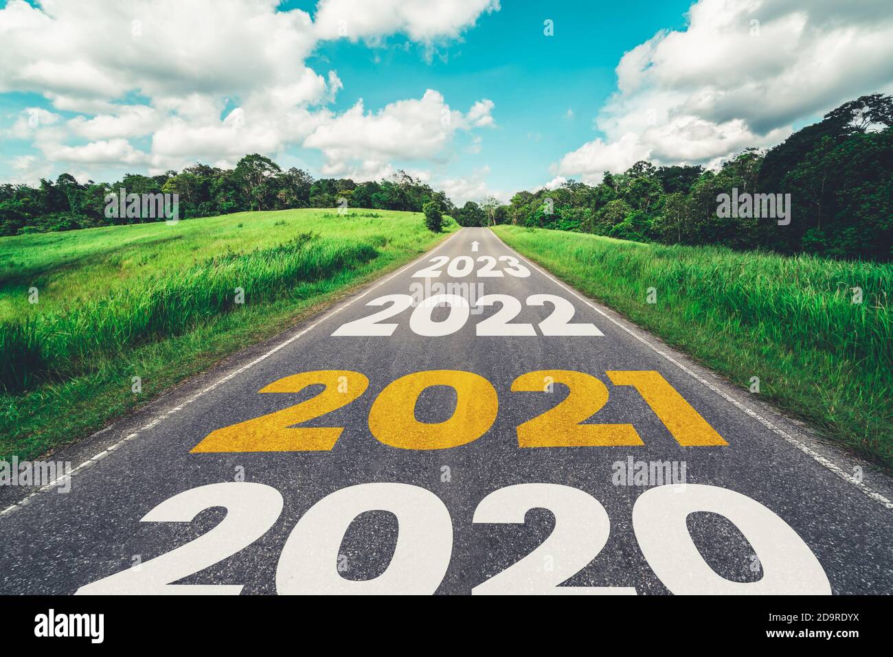 New Year 2022 Nature