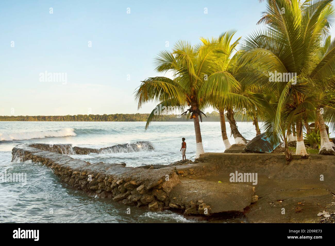 Tropical scene with palm trees and a local boy looking at the sea in ...