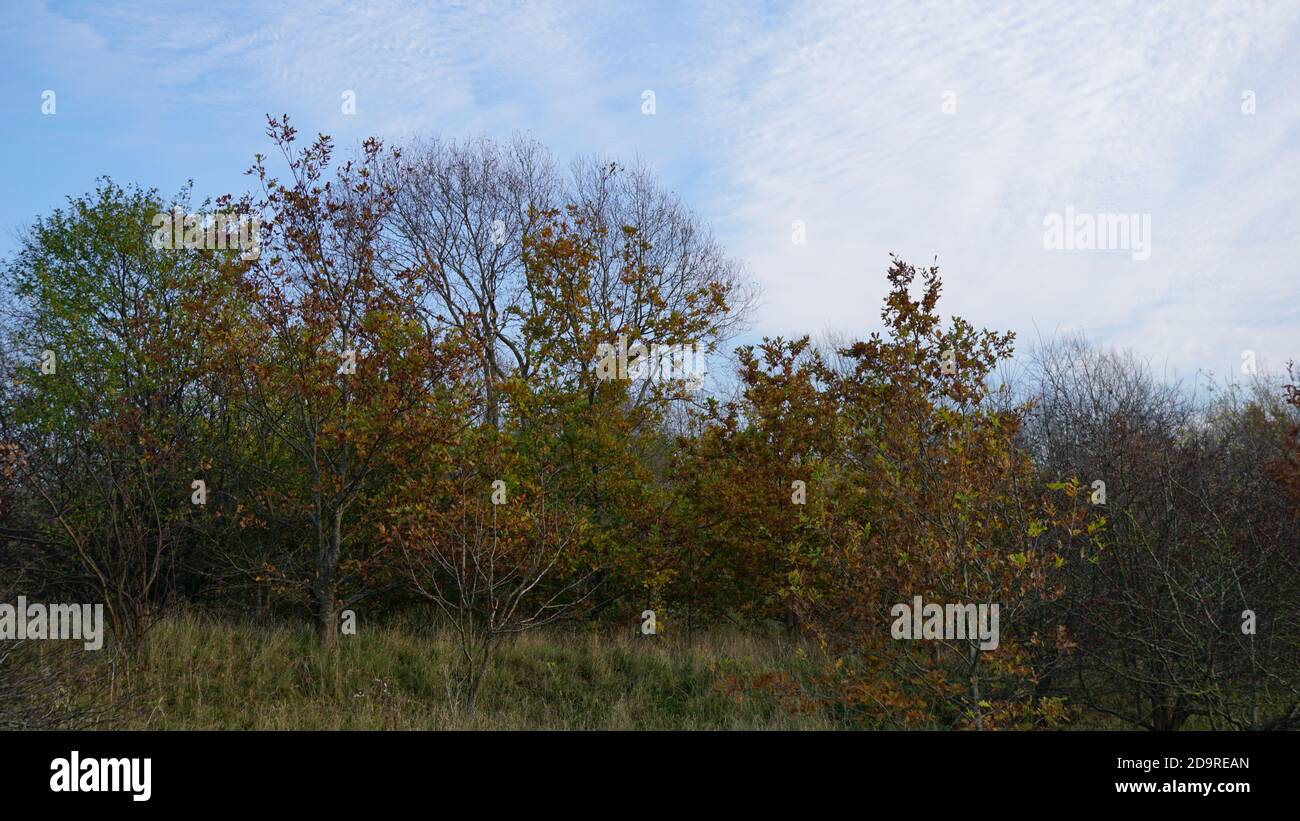 Rother Valley Country Park High Resolution Stock Photography and Images ...