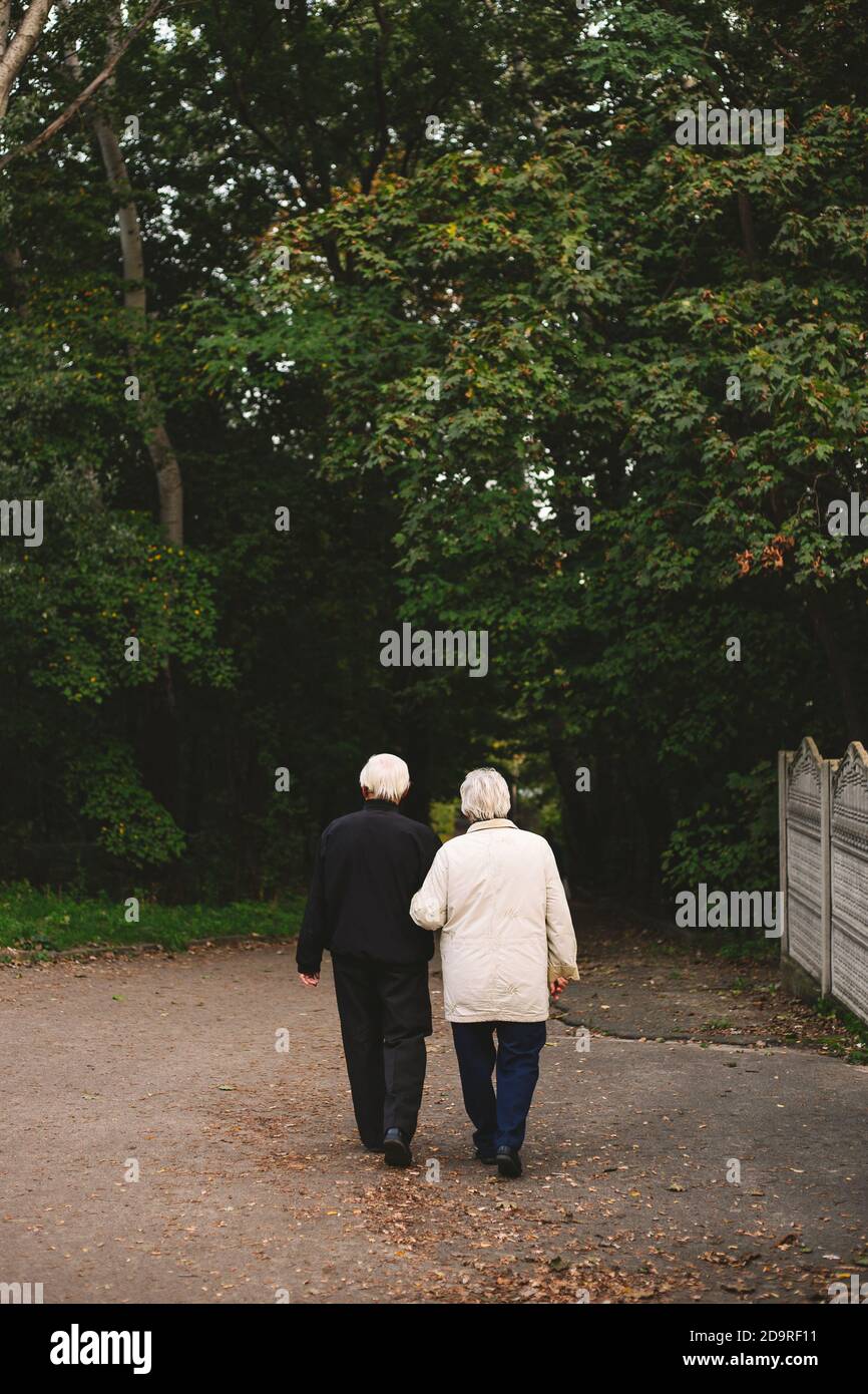 A picture of an old couple strolling in the park. Picture from the back ...