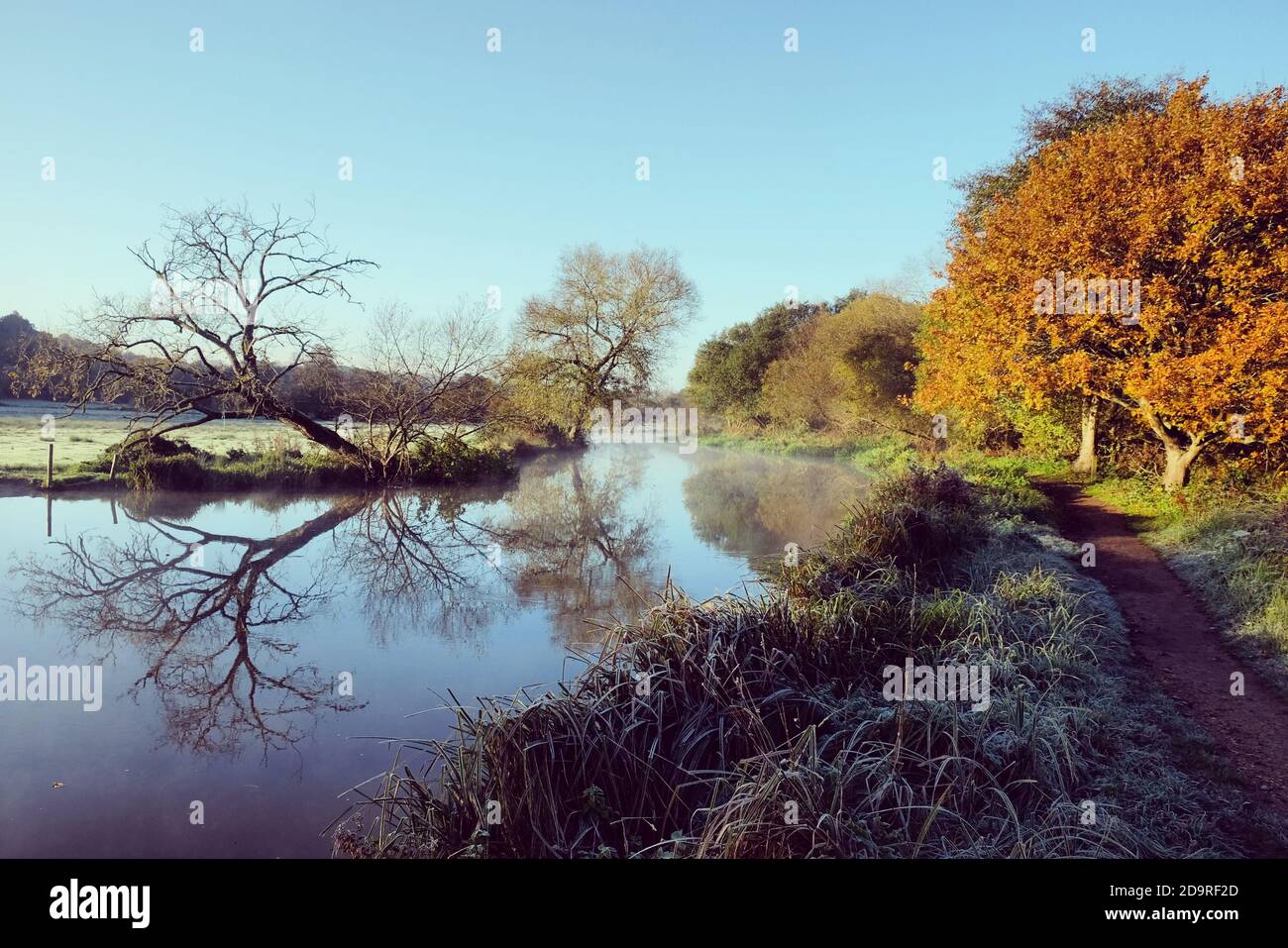 A still River Wey on a cold sunny morning in Godalming, Surrey, UK ...