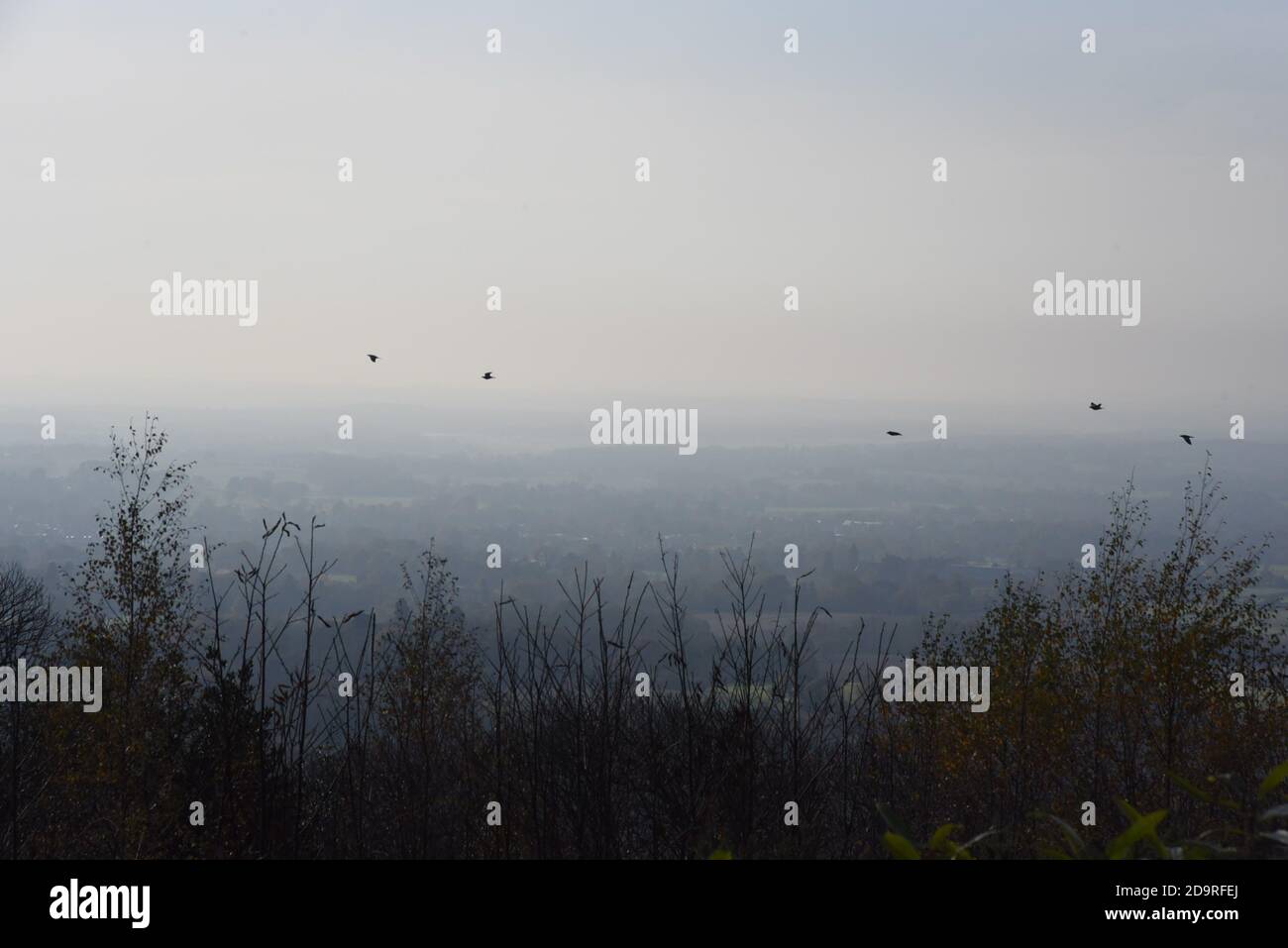 Mist views in the Surrey Hills Stock Photo - Alamy