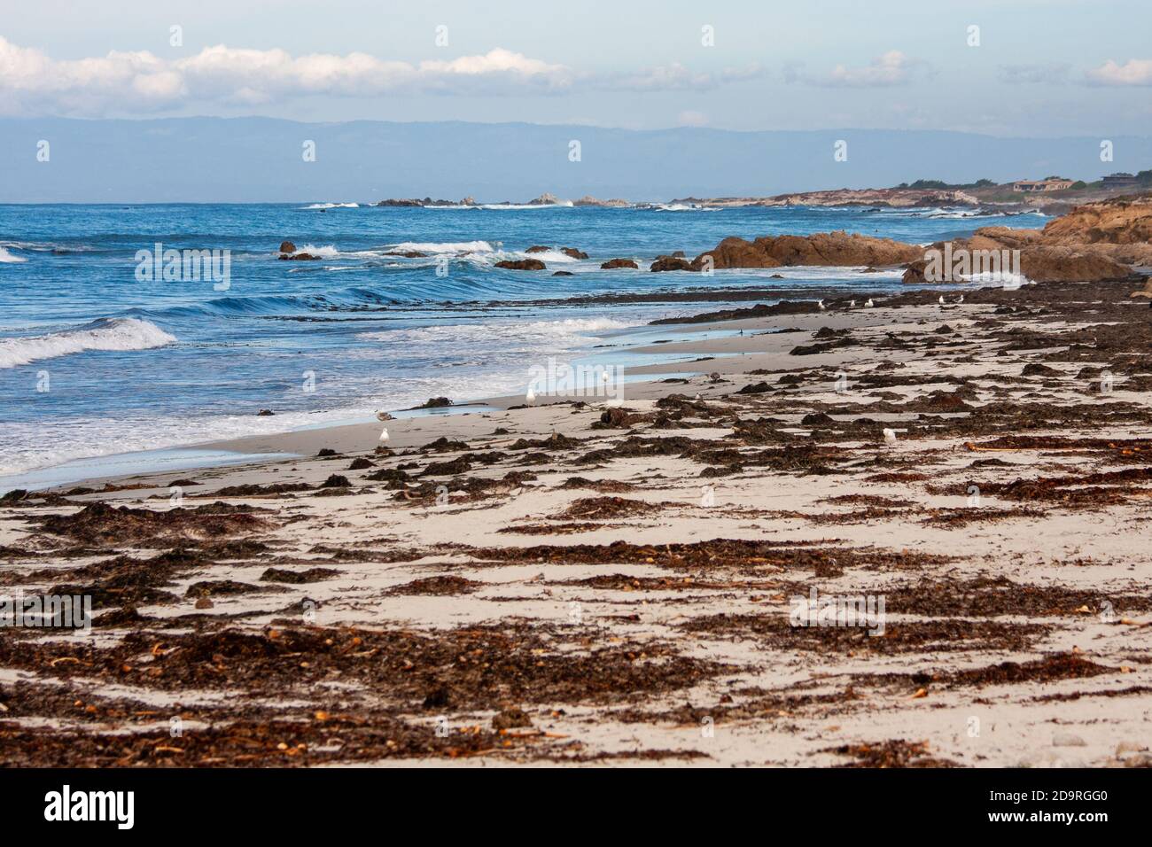 Pacific ocean coast in Carmel, California Stock Photo - Alamy