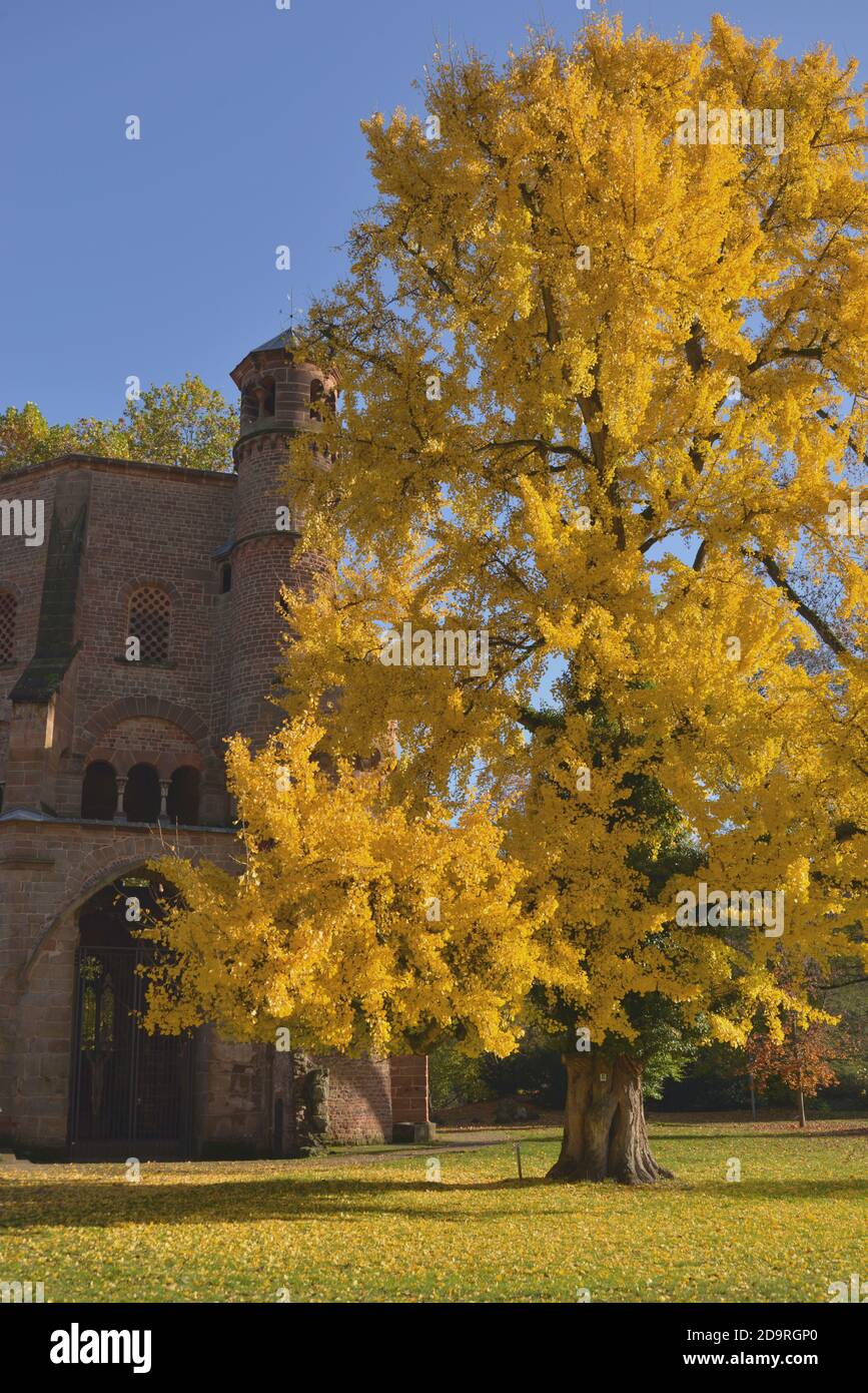 Mettlach a place with history Stock Photo - Alamy