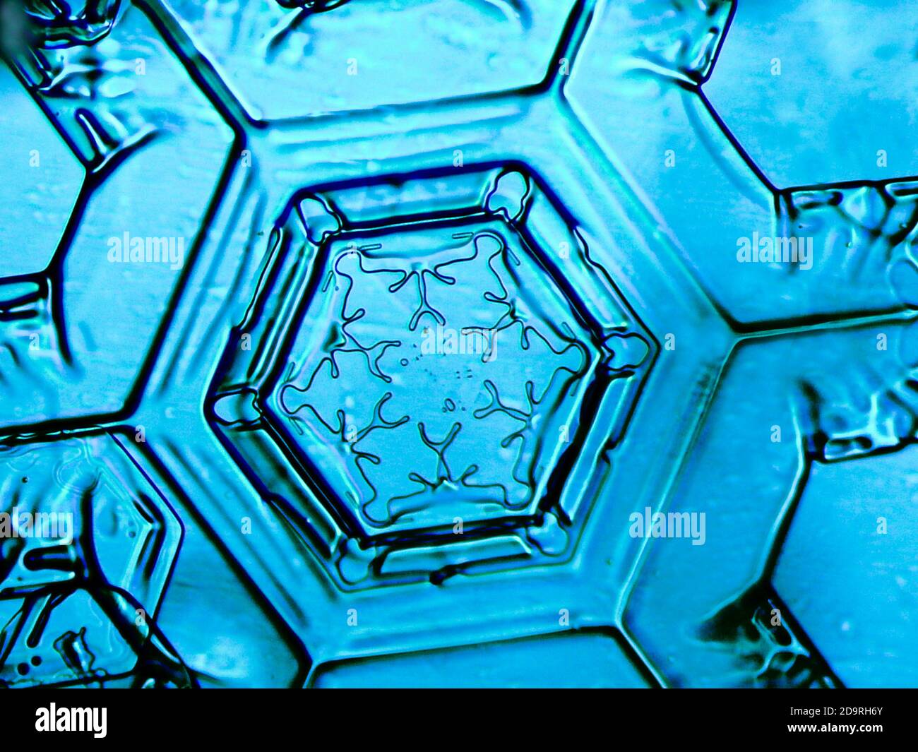Real snowflake in the details Stock Photo - Alamy