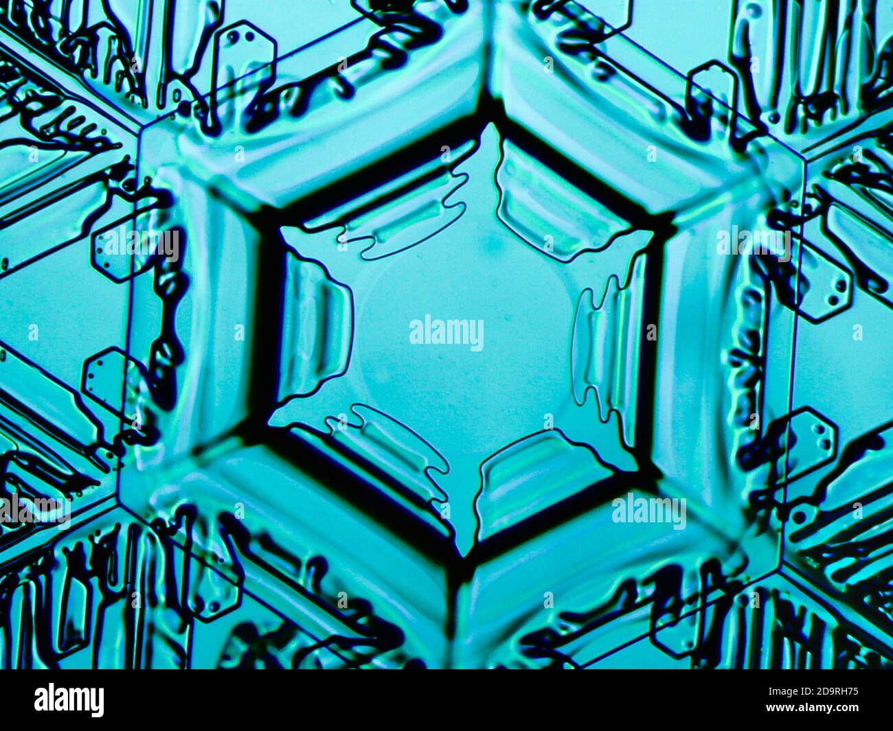 Real snowflake hi-res stock photography and images - Alamy