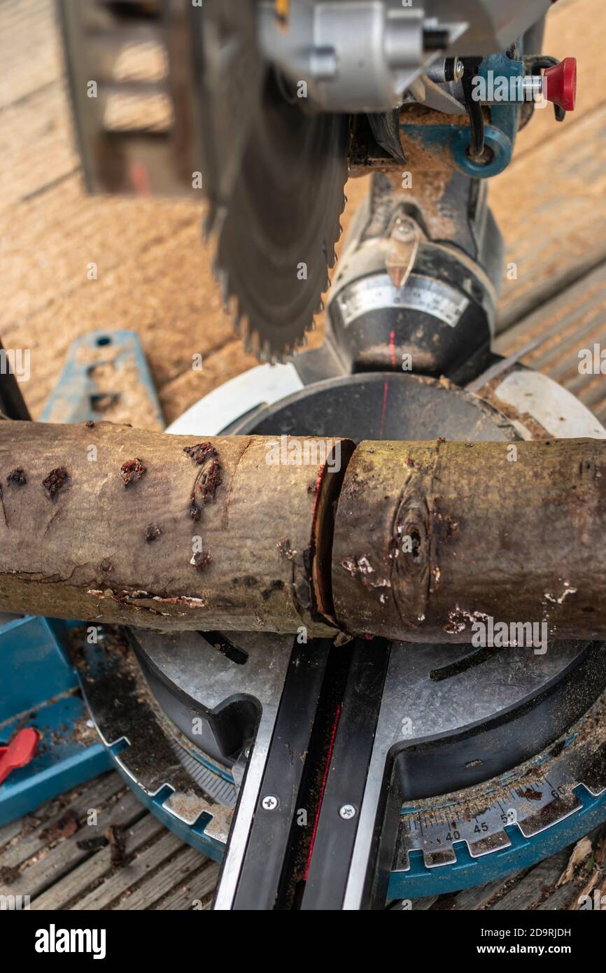 Erbauer hi-res stock photography and images - Alamy