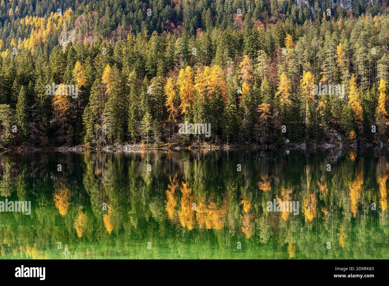 Lago di Tovel (Lake Tovel), Beautiful Alpine lake with forest in autumn ...