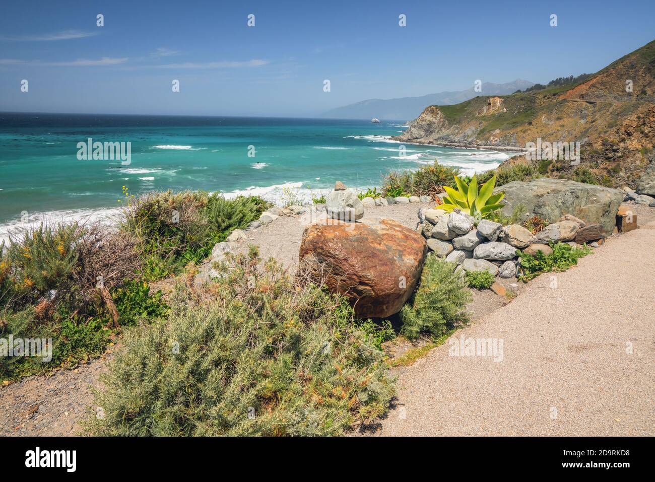 Native California Plants High Resolution Stock Photography and Images ...