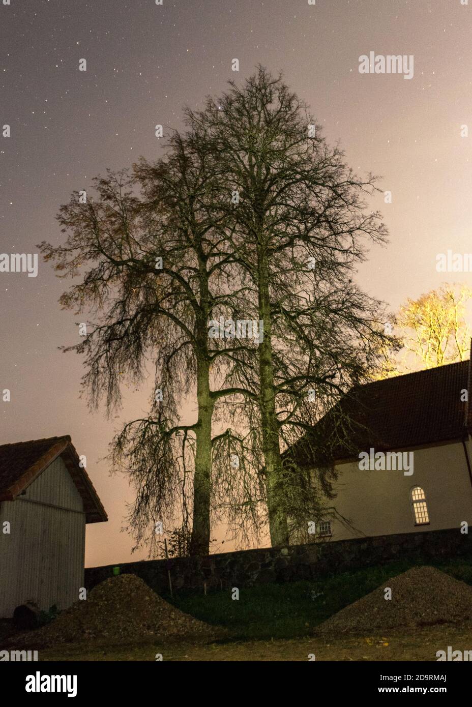 wallpaper with lighted tree at night in the park, beautiful autumn ...