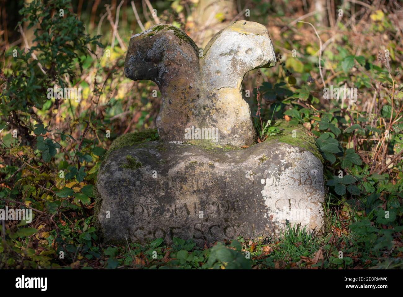 Malcolm stone hi-res stock photography and images - Alamy