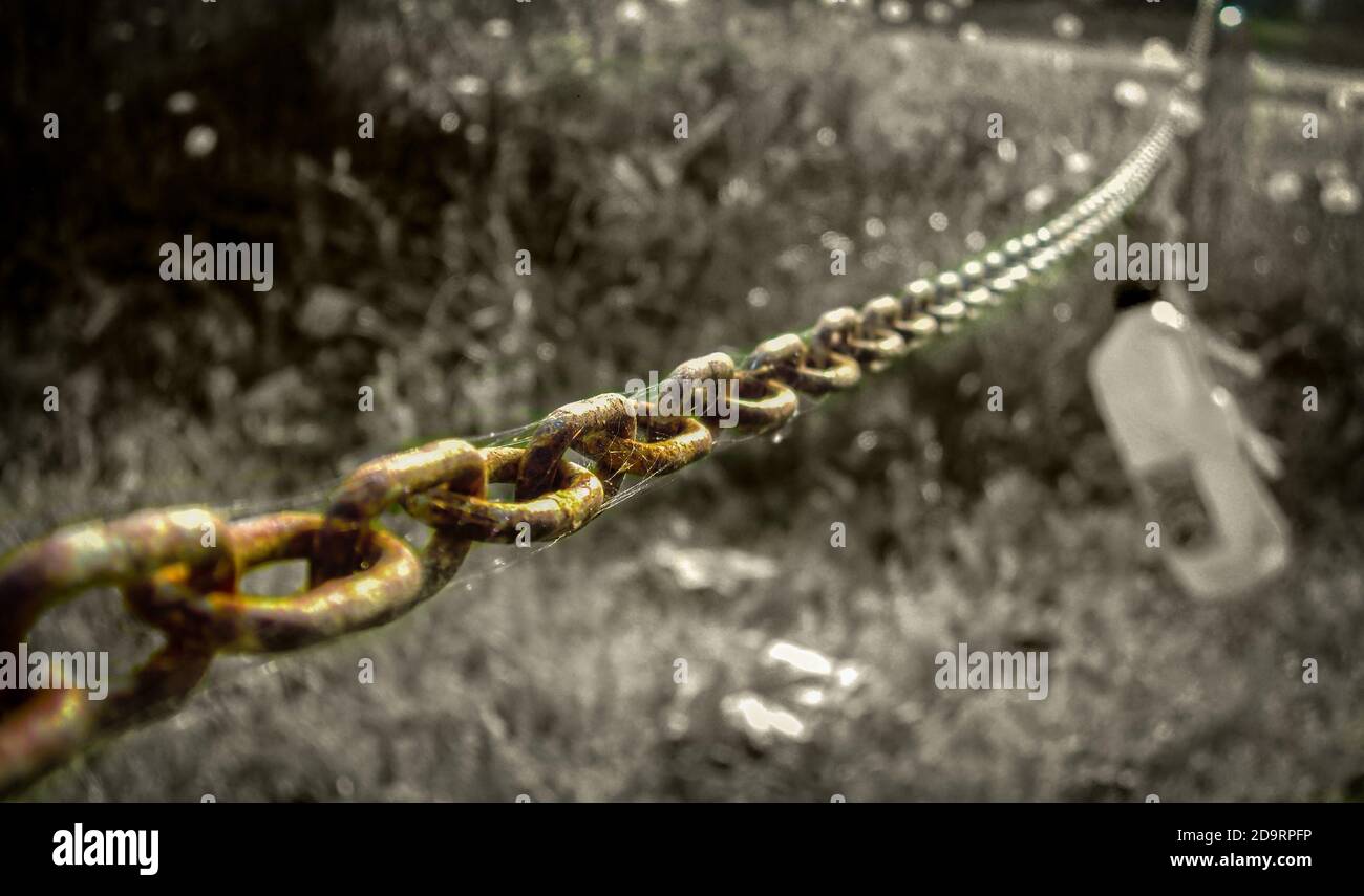 Stretched metal hi-res stock photography and images - Alamy